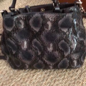 Dooney & Bourke | Bags | Snake Print Dooney | Poshmark